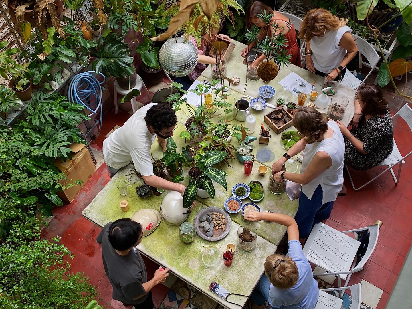 Workshop autour des plantes | Saigon Accueil